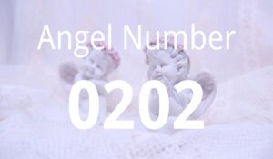 0202的天使數字含義｜在天使的指引下，理想的未來即將來臨｜Angeltoday88